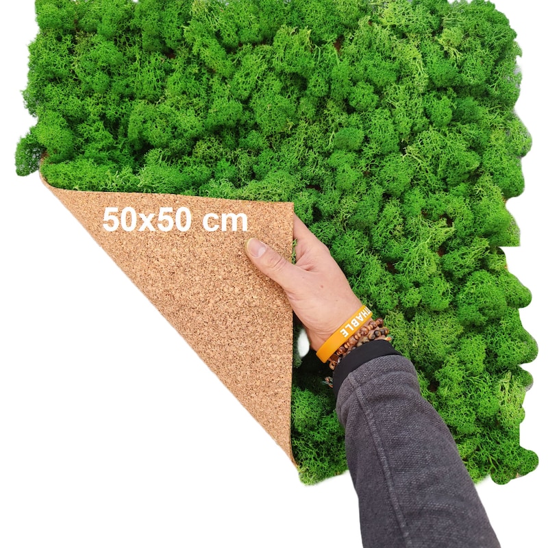 Moss Wall Set of 3 - Etsy