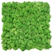 MOSS PANEL, PRESERVED Moss, Reindeer Moss, Handmade Moss Panel ...