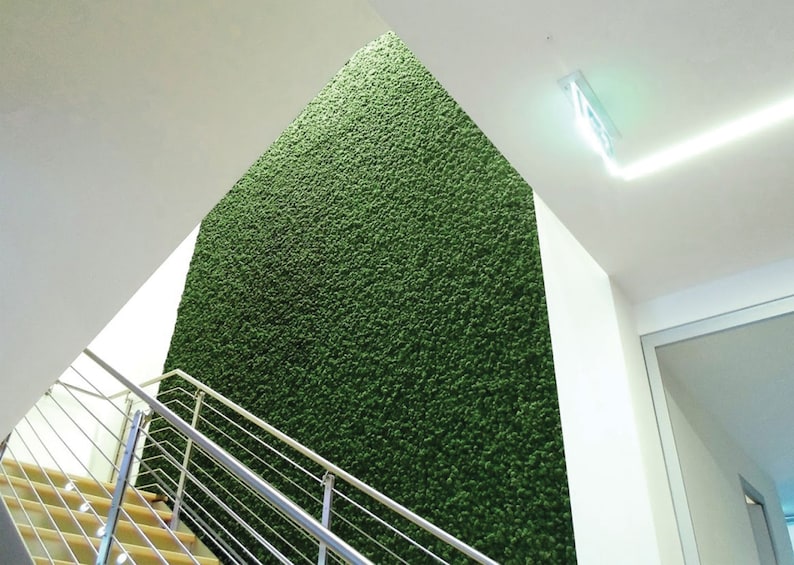 MOSS PANEL, PRESERVED Moss, Reindeer Moss, Handmade Moss Panel, Stabilized Forest Green 50 X 50 ...