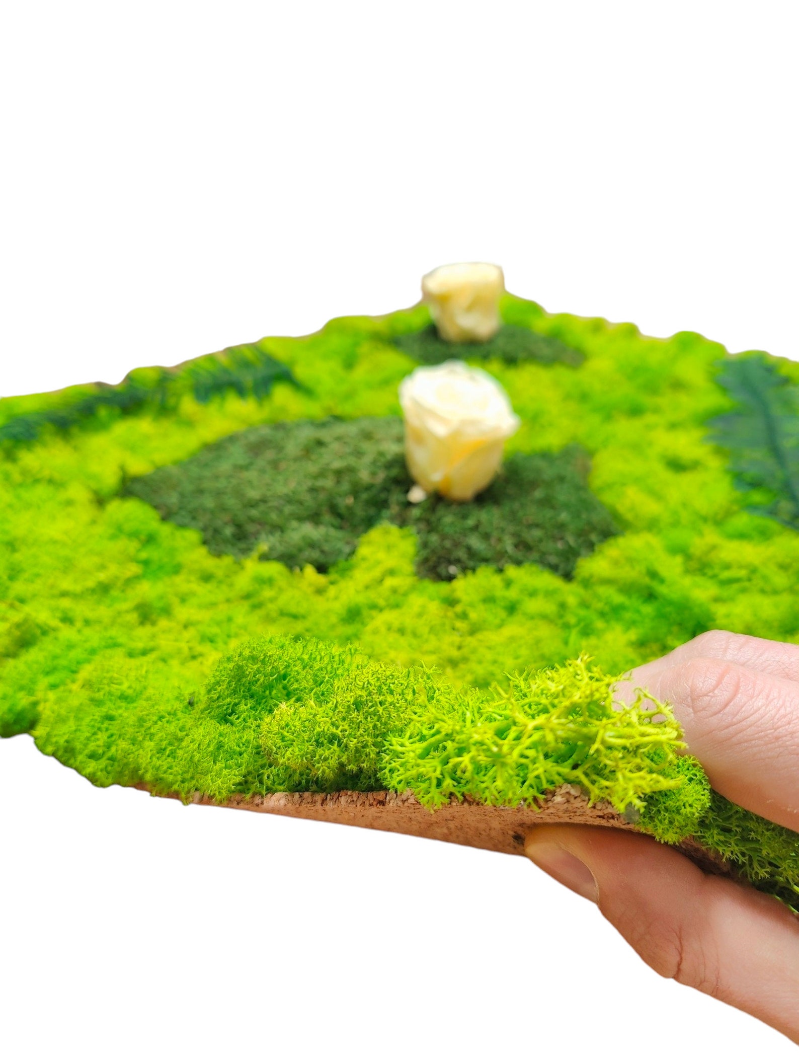 Moss Panel With White Rose, Preserved Reindeer Moss Wall, Handmade Moss ...