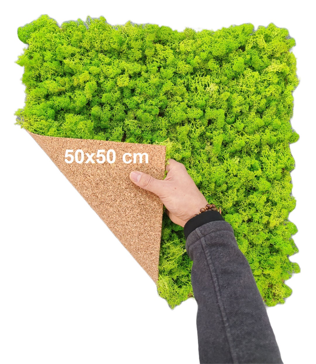 MOSS PANEL, PRESERVED Moss Wall, Reindeer Moss, Handmade Moss Panel ...