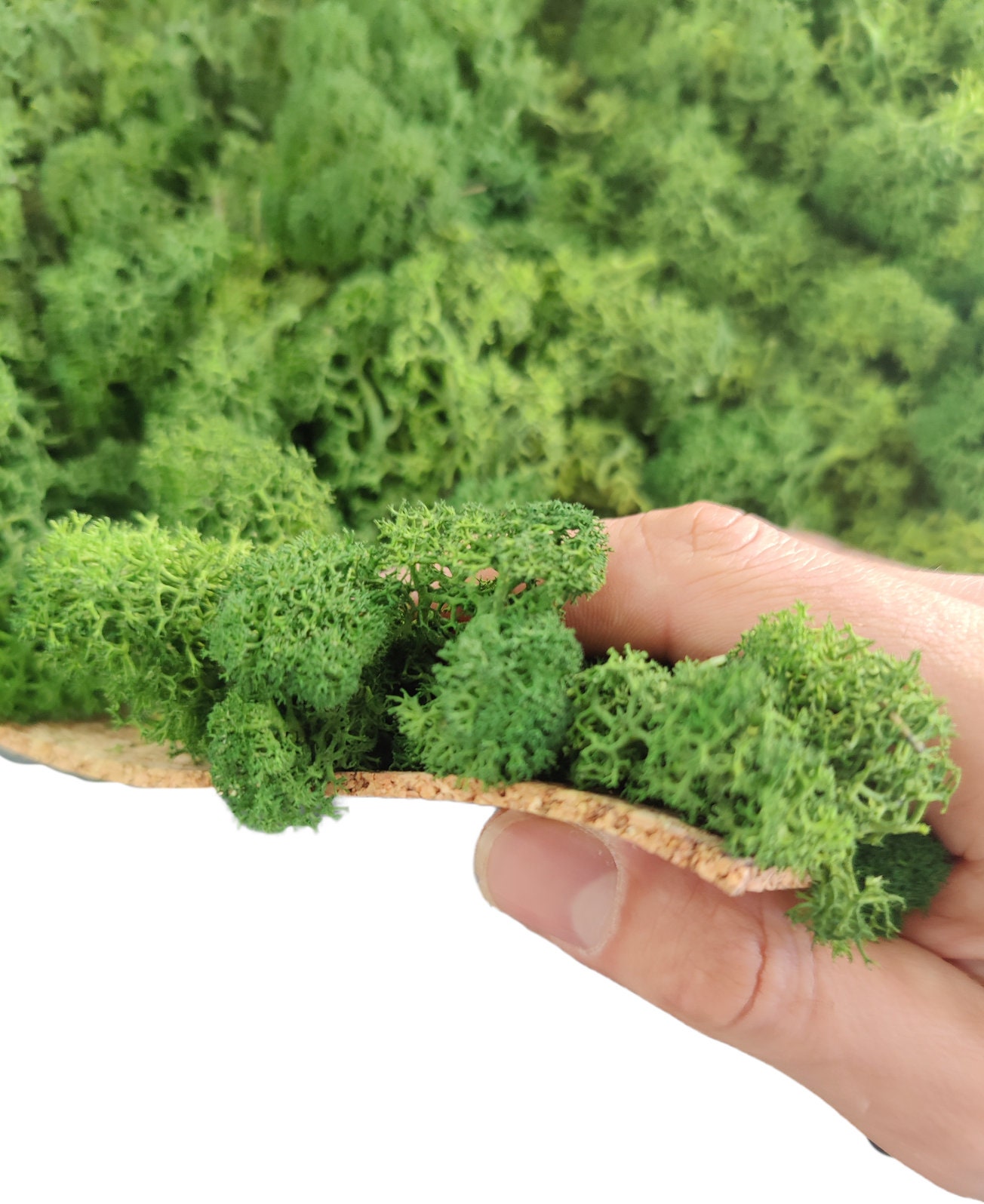 MOSS PANEL, PRESERVED Moss, Reindeer Moss, Handmade Moss Panel ...