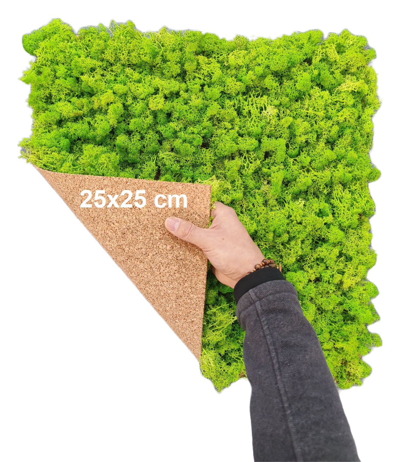 MOSS PANEL, PRESERVED Moss, Reindeer Moss Wall, Handmade Moss Panel ...