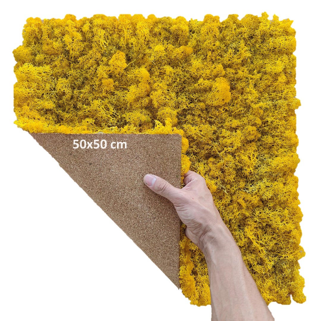 MOSS PANEL, PRESERVED Moss Wall, Reindeer Moss, Handmade Moss Panel ...