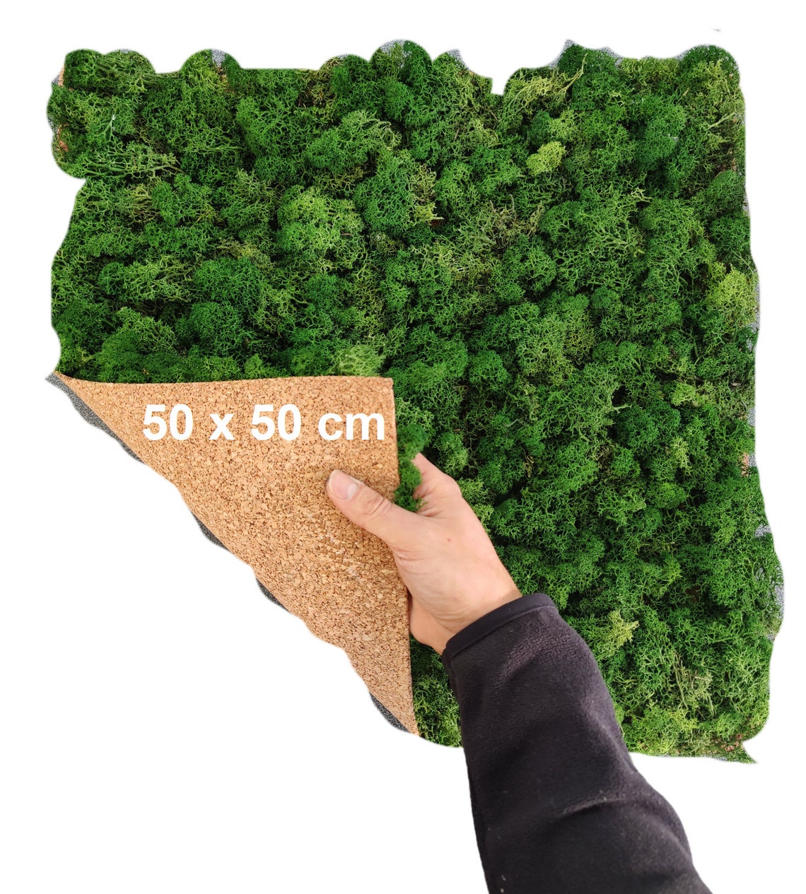 MOSS PANEL, PRESERVED Moss, Reindeer Moss, Handmade Moss Panel, Stabilized Forest Green 50 X 50 ...
