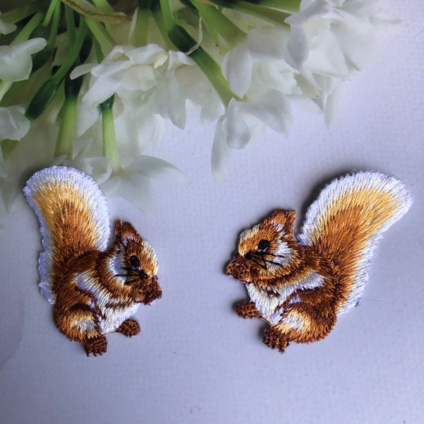 Squirrel Applique - Etsy