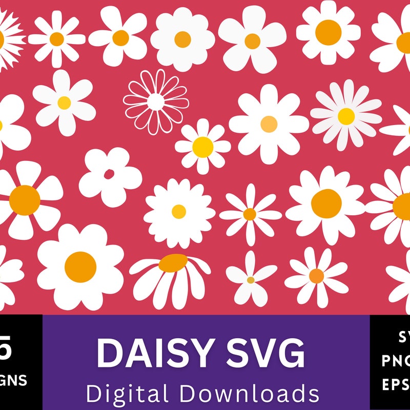 Daisy Svg - Etsy