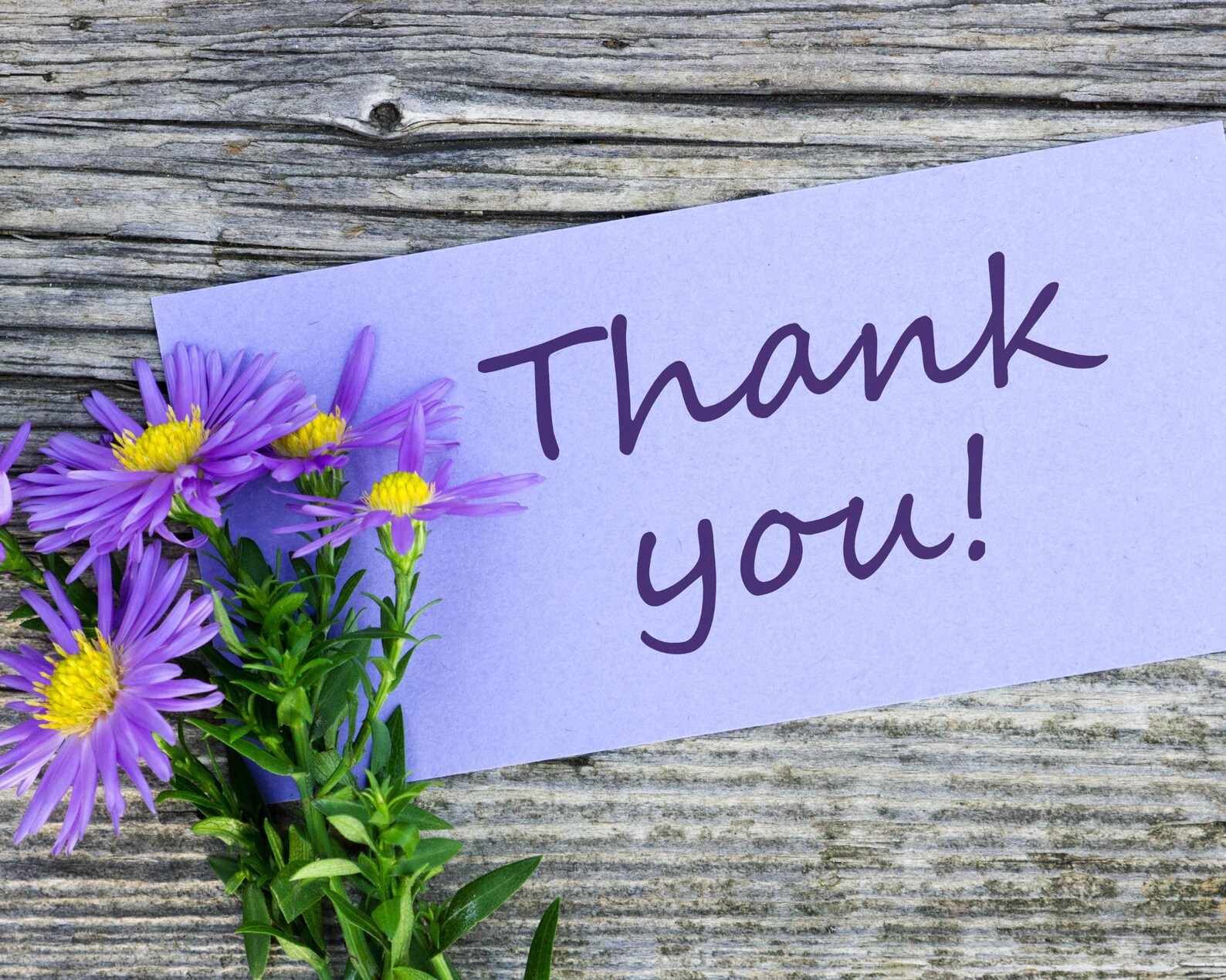 Editable Silver Dollar City Surprise Ticket Template, Printable Silver ...