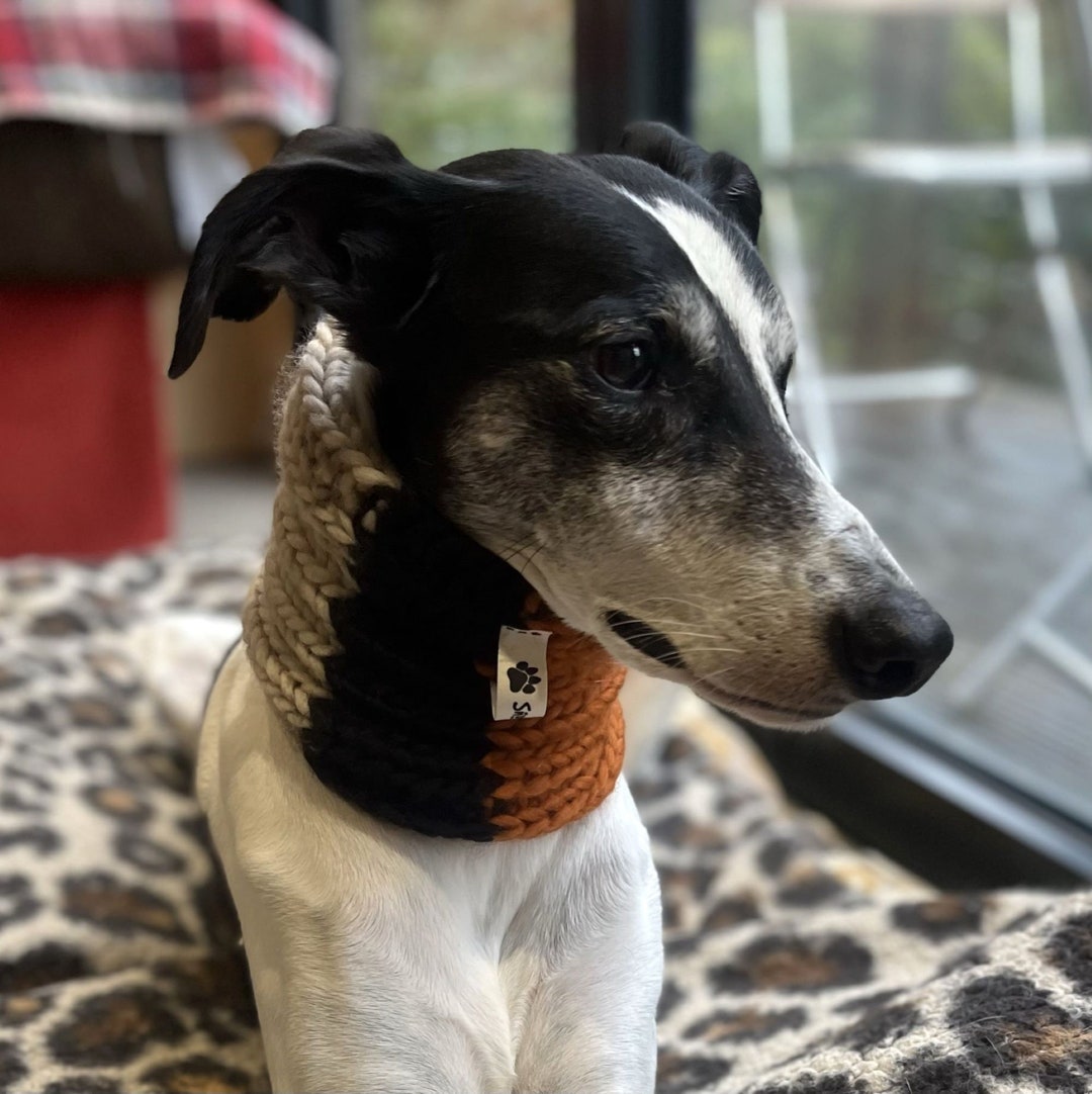 Luxury Dog Snood - Hand Knitted Fox Inspired Design, Spring, Autumn ...