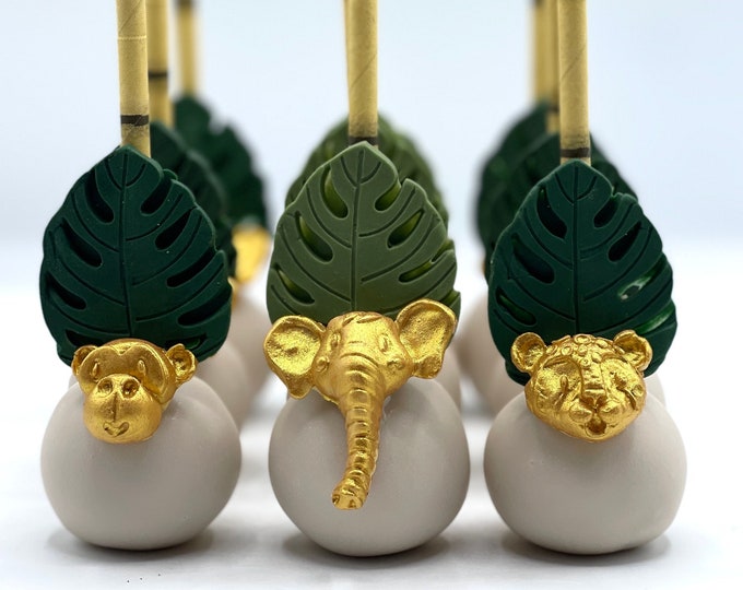Safari Theme Cake Pops, Party Favors, Wild One Party Treats, First ...