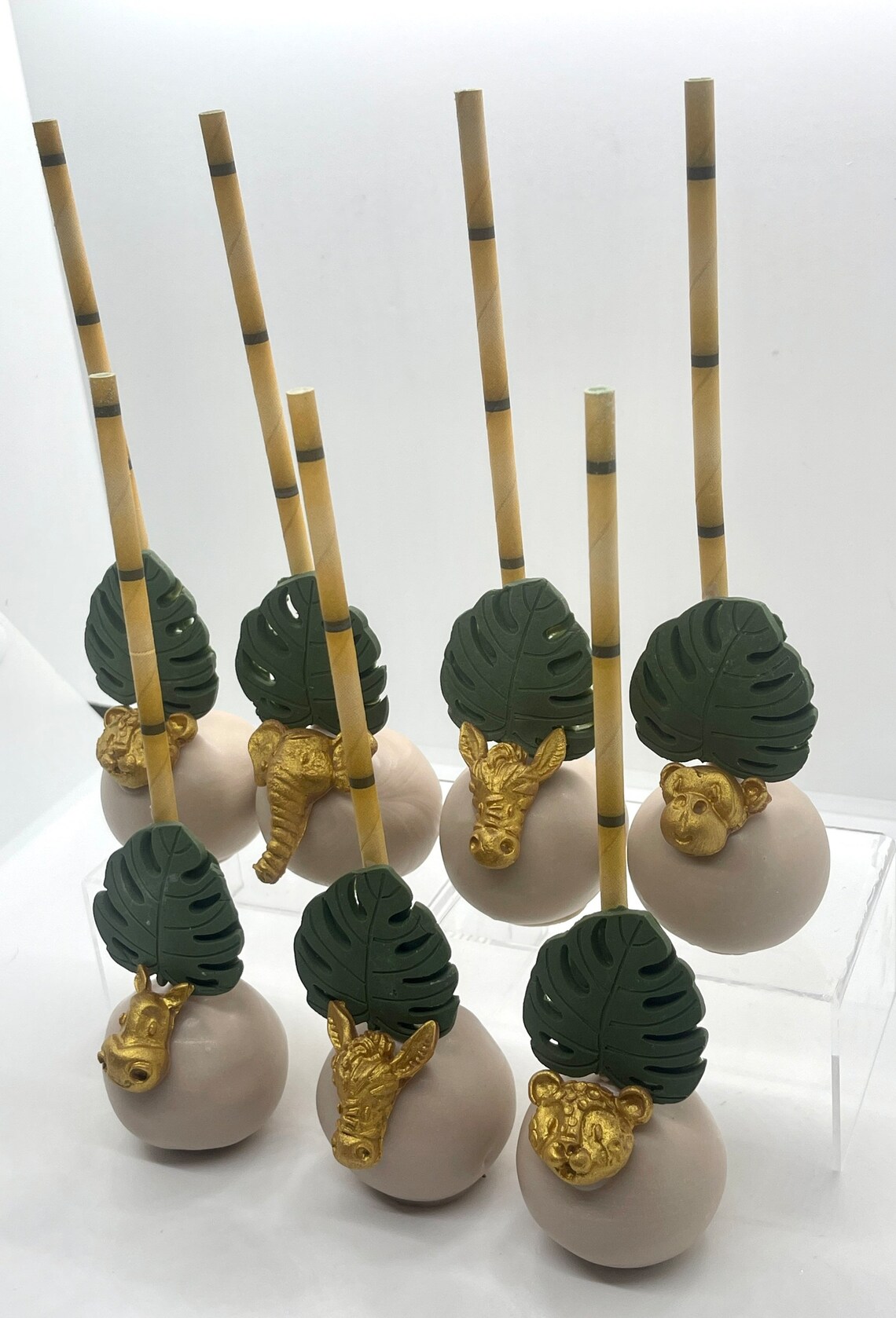 Safari Theme Cake Pops Party Favors Wild One Party Treats - Etsy