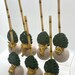 Safari Theme Cake Pops Party Favors Wild One Party Treats - Etsy