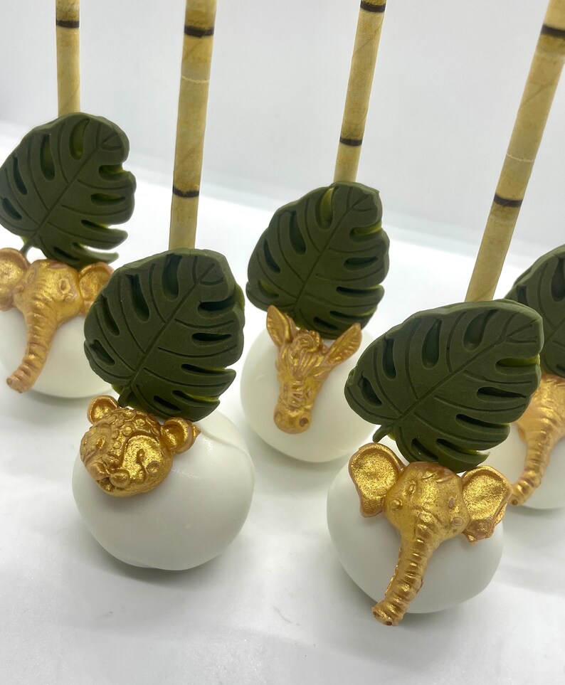 Safari Theme Cake Pops Party Favors Wild One Party Treats - Etsy