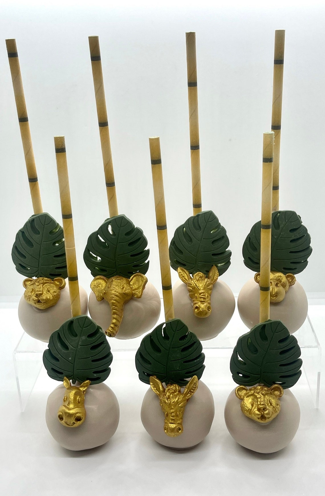 Safari Theme Cake Pops Party Favors Wild One Party Treats - Etsy