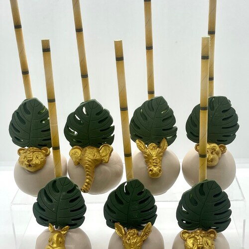 Safari Theme Cake Pops Party Favors Wild One Party Treats - Etsy