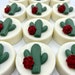 Fiesta Theme Chocolate Covered Oreos, Party Favors, Baby Shower Favors ...