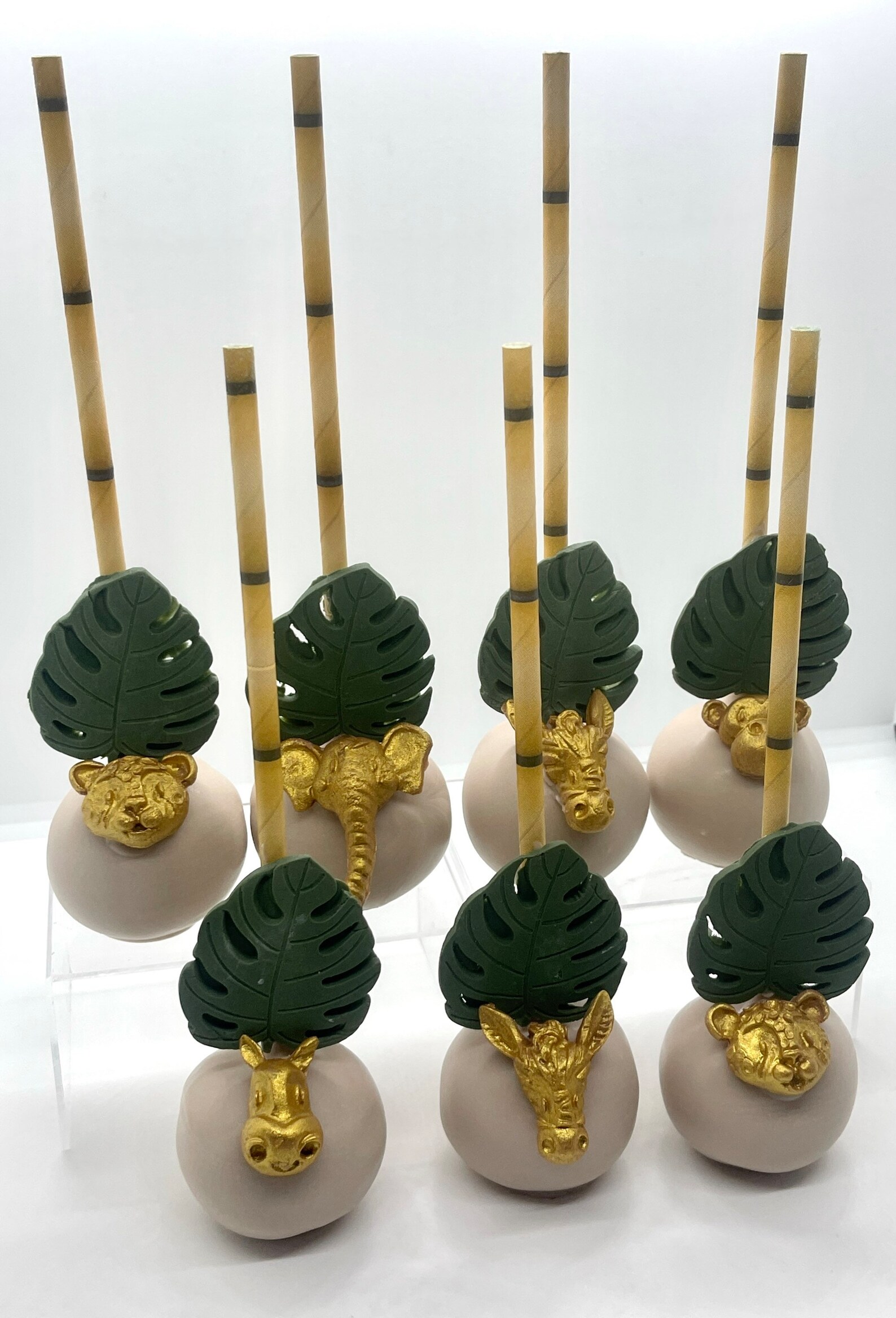Safari Theme Cake Pops Party Favors Wild One Party Treats - Etsy