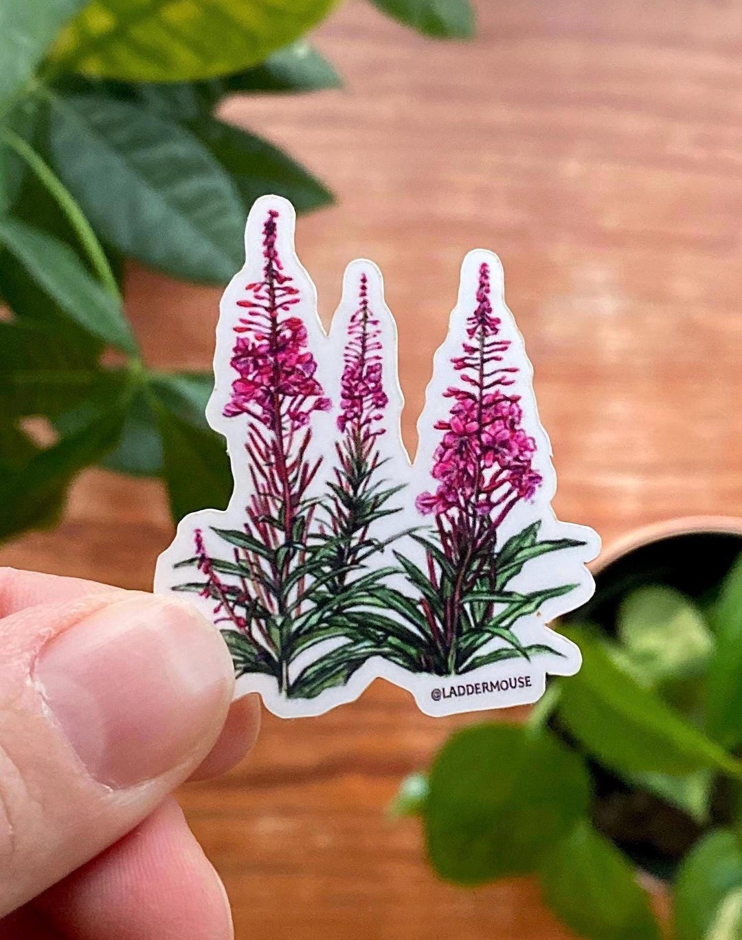 Fireweed Vinyl Sticker waterproof Alaska Native Pink Wildflower Laptop ...