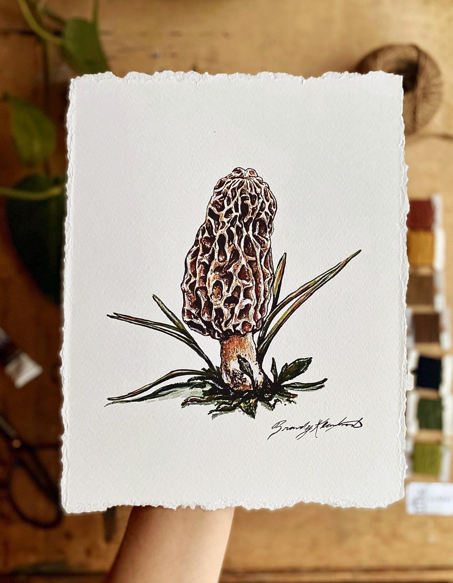Morel Mushroom - Art Print - Watercolor Painting on Cotton Paper W ...