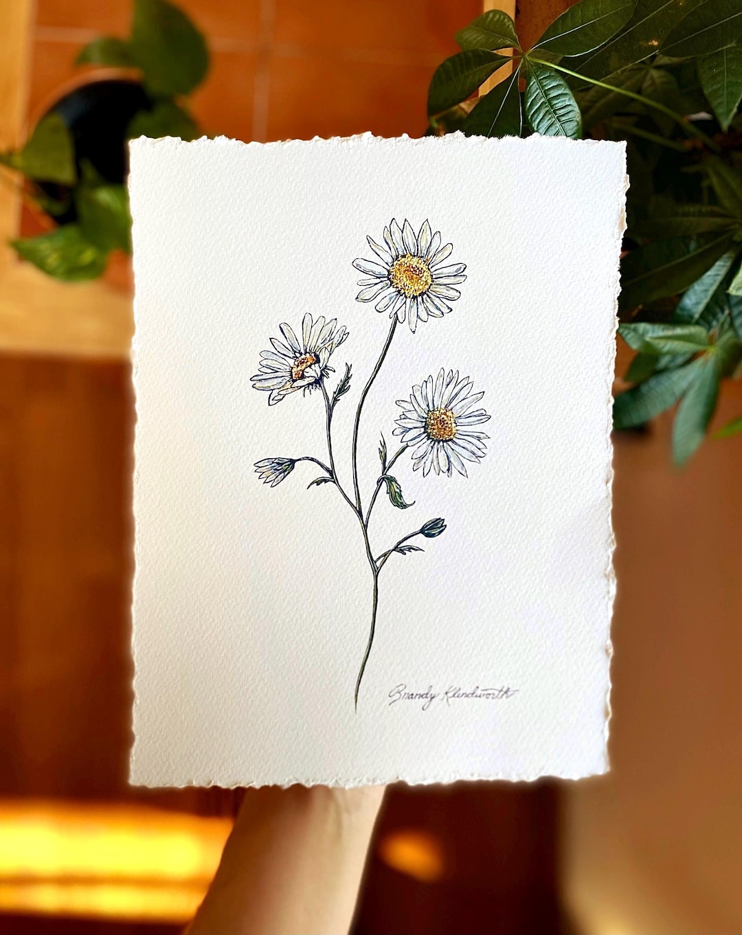 White Daisy - Art Print - Watercolor Painting on Cotton Paper W ...