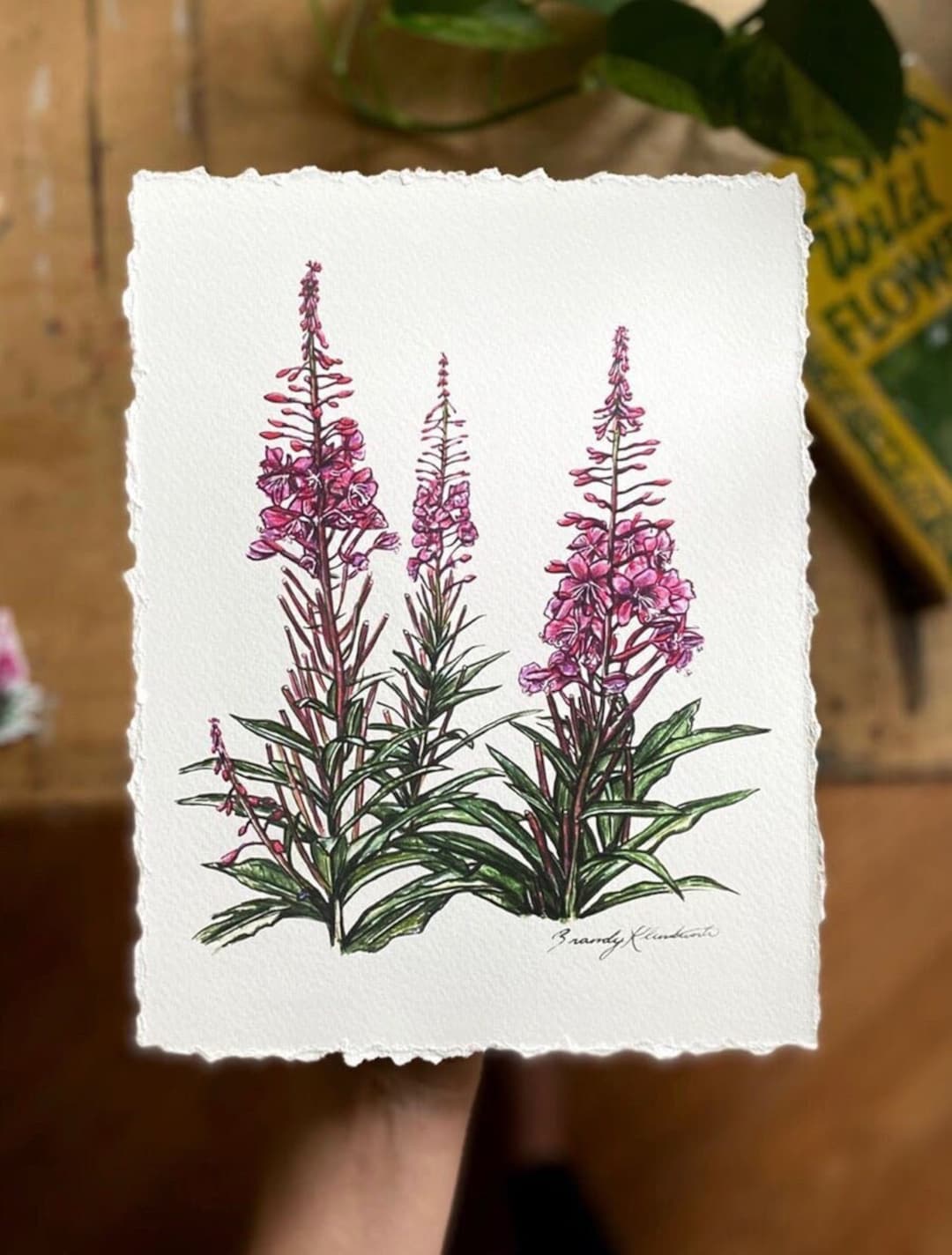 Fireweed Art Print Flower Watercolor Painting - Etsy