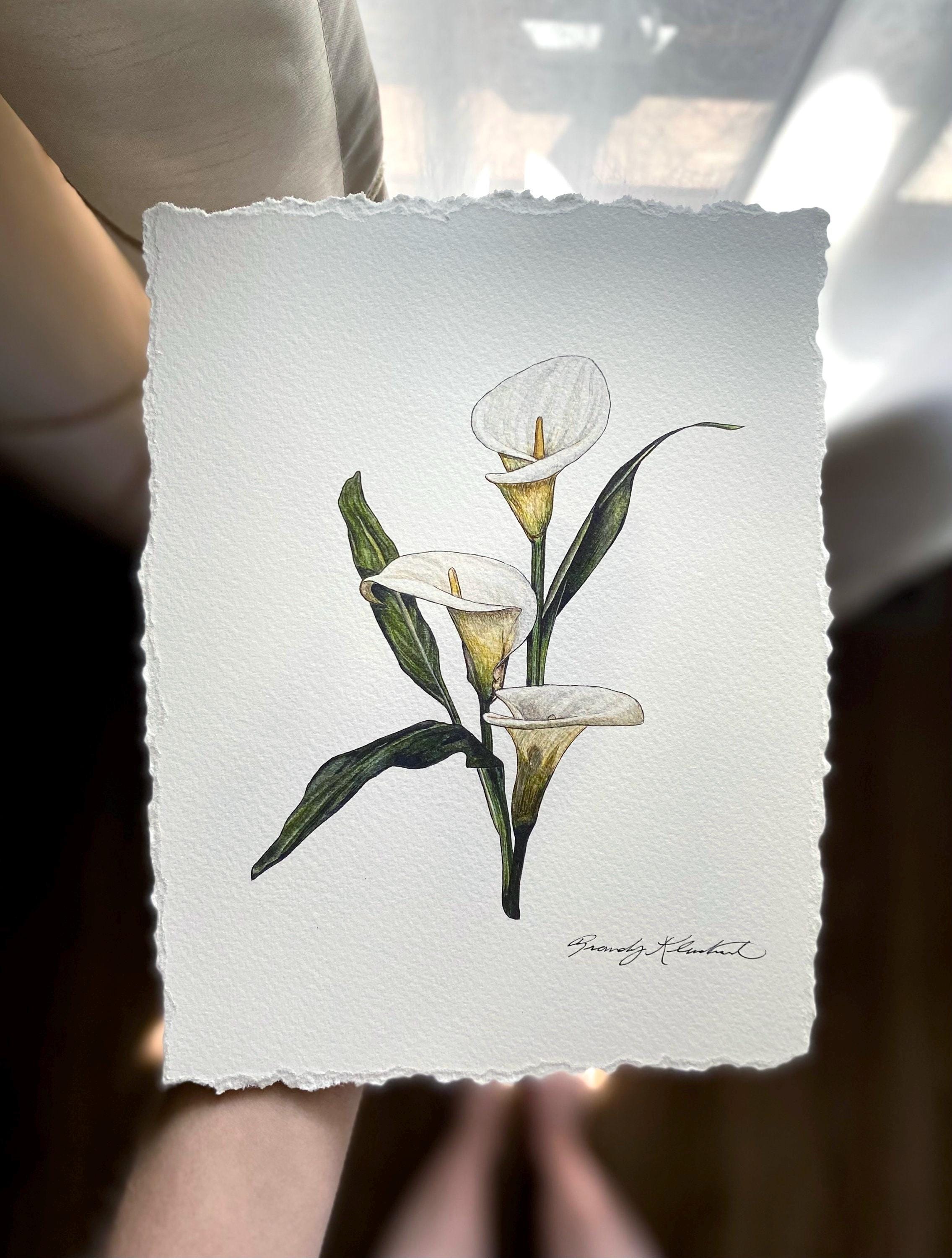 White Calla Lily - Art Print - Watercolor Painting on Cotton Paper W ...