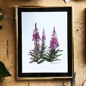 Fireweed Art Print Flower Watercolor Painting - Etsy