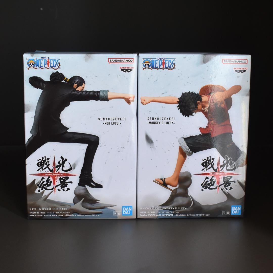 Rob Lucci & Monkey D. Luffy | One Piece Senkozekkei Rob Lucci | One ...