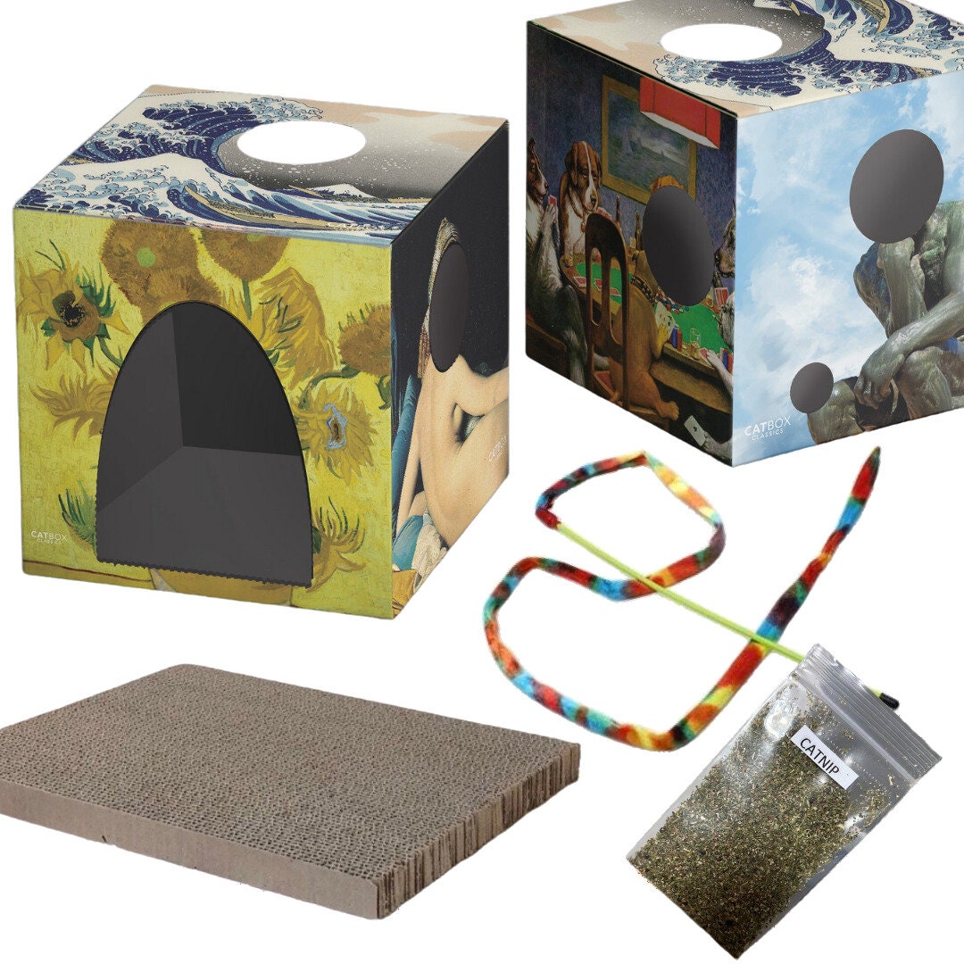 Meow Masterpieces Cardboard Cat House With Scratcher, Play Wand and ...