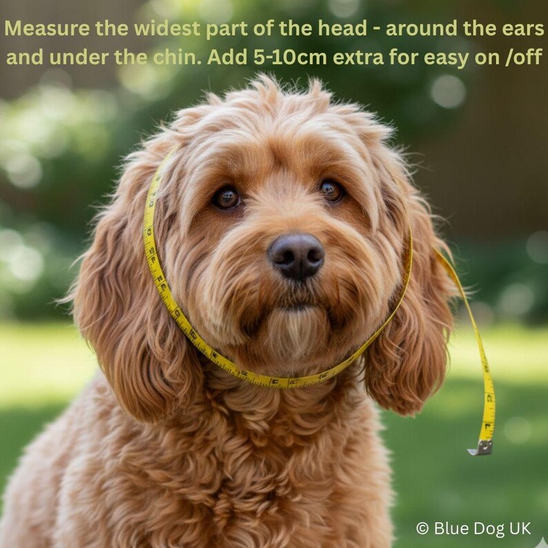 Slip Collar Training 550 Paracord Dog / Gundog Puppy Working Dog Grot ...