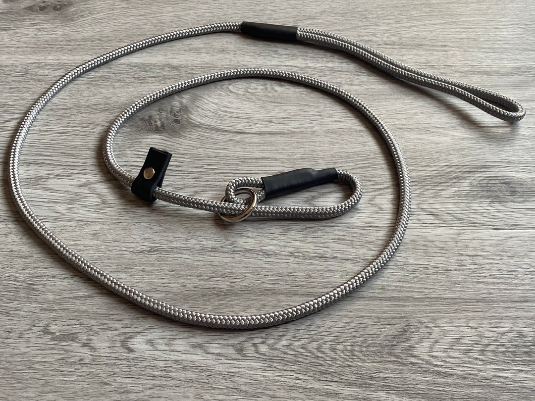 Slip Lead for Dogs Slip Leash Dog Training Thin Gundog Small / Medium ...