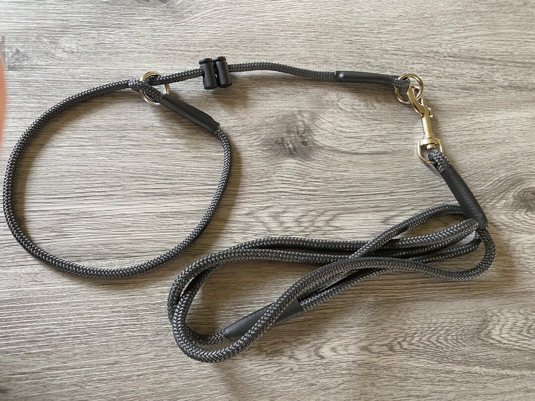 Training Slip Collar 6mm and 8mm Clip Lead Strong Anthracite Double ...