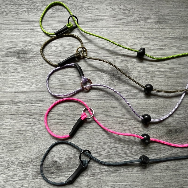 Dog House Collar Purple - Etsy UK