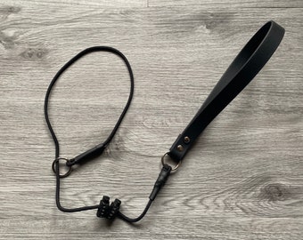 Custom Biothane Slip Collar - Etsy