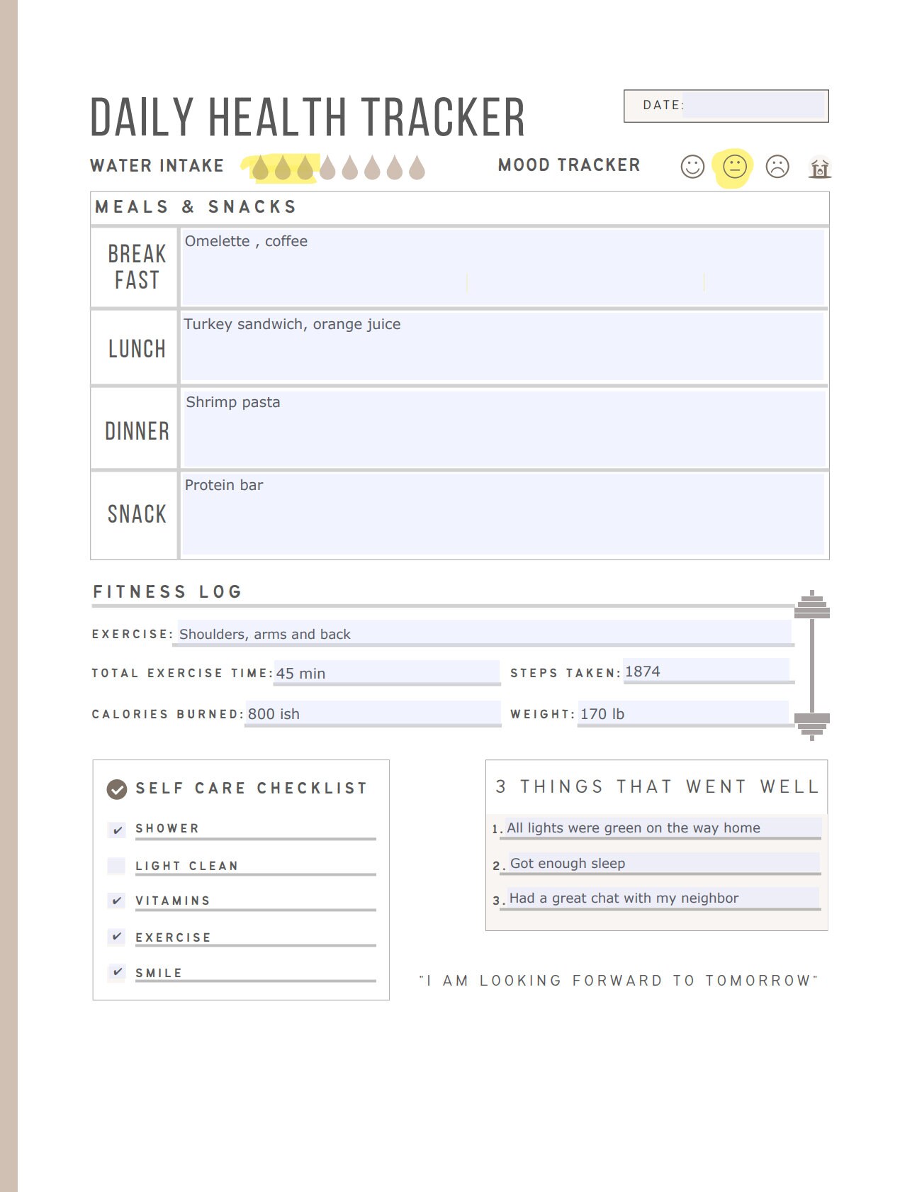 Daily Health Tracker, Daily Meal and Exercise Tracker, Everyday Planner ...