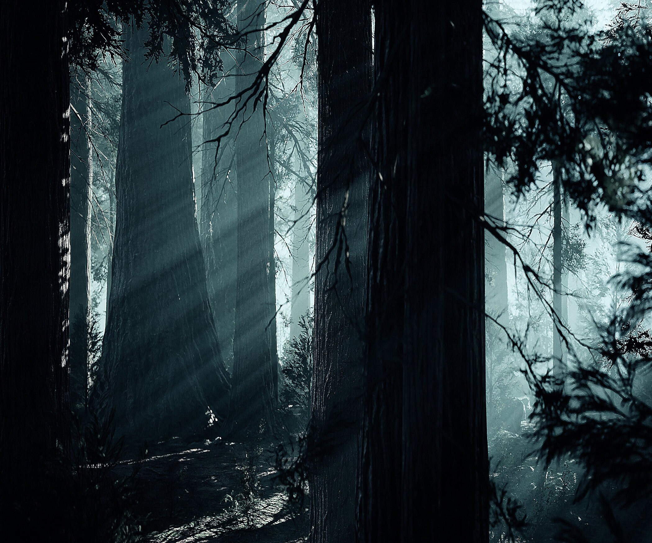 Enchanted Forest Fantasy Prints, 4 Piece Printable Wall Art, Witchy ...