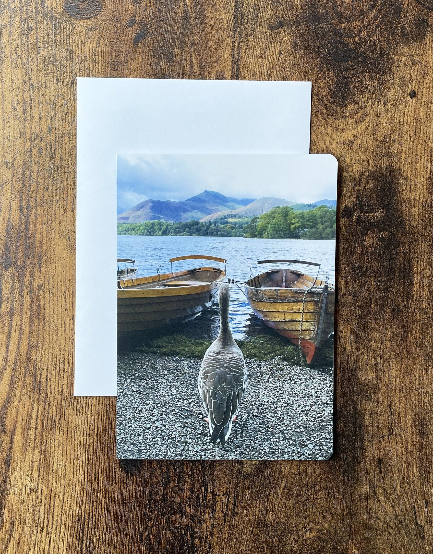 Barnacle Greeting Card Without Text With Envelope Party - Etsy