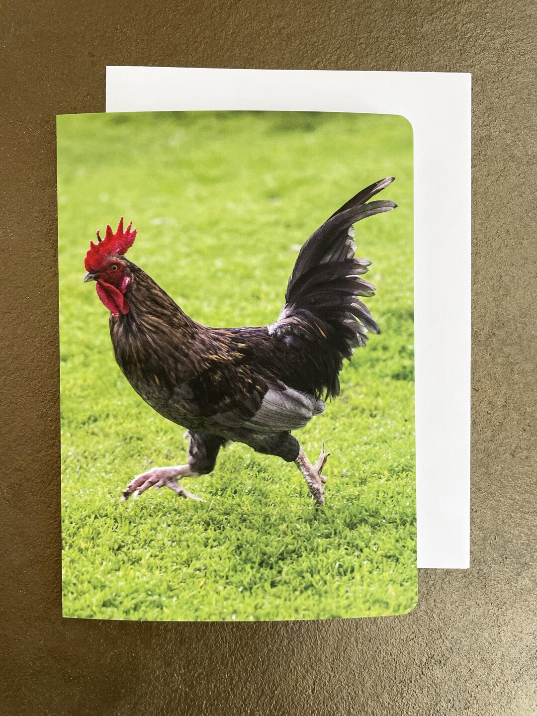 Greetings Card Rooster Blank Inside With White Envelope, Birthday Card ...