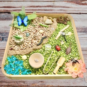 Bug Lover Sensory Kit - Etsy