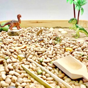Dino Dig Sensory Kit - Etsy
