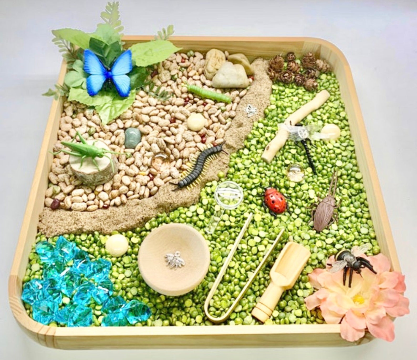 Bug Lover Sensory Kit - Etsy