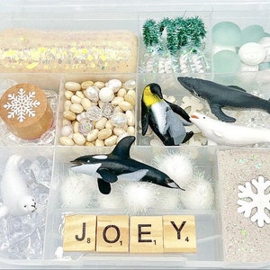 Arctic Animals Play Dough Kit - Etsy