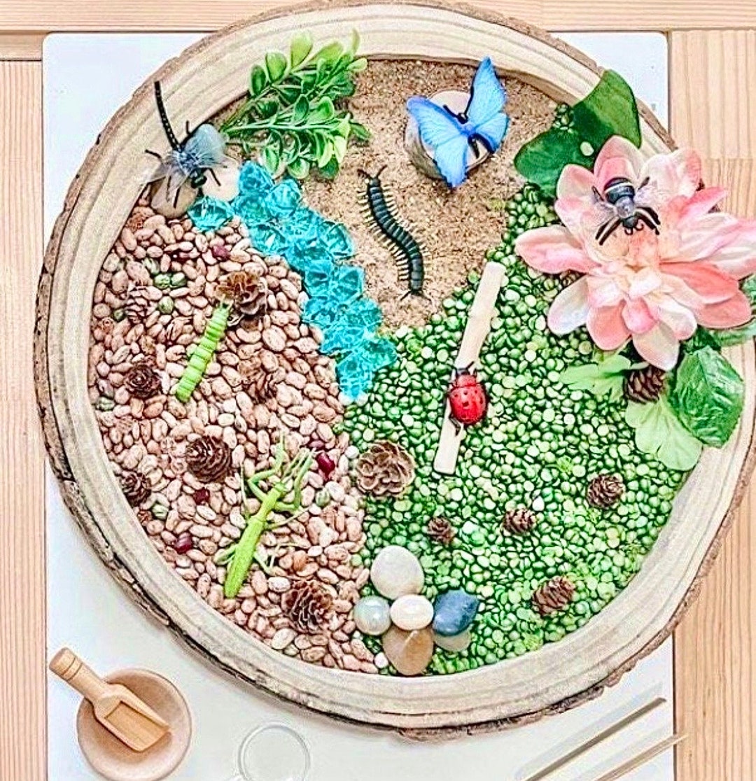 Bug Lover Sensory Kit - Etsy