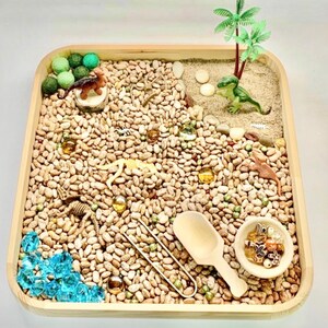 Dino Dig Sensory Kit - Etsy