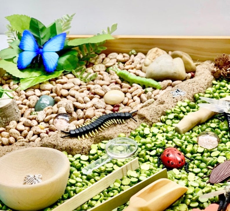 Bug Lover Sensory Kit - Etsy