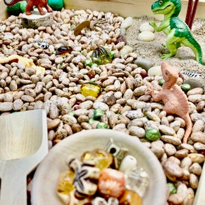 Dino Dig Sensory Kit - Etsy