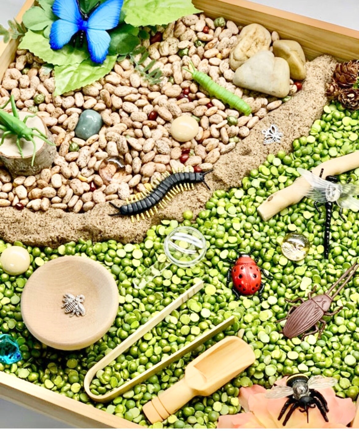 Bug Lover Sensory Kit - Etsy
