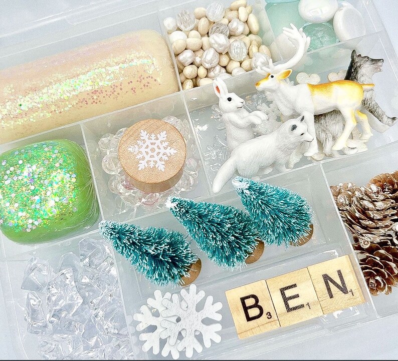 Winter Forest Play Dough Kit - Etsy