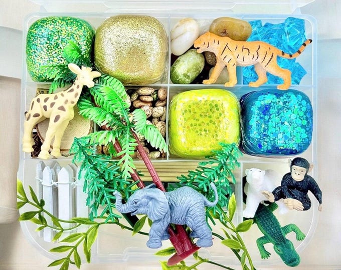 Zoo Life Play Dough Kit - Etsy