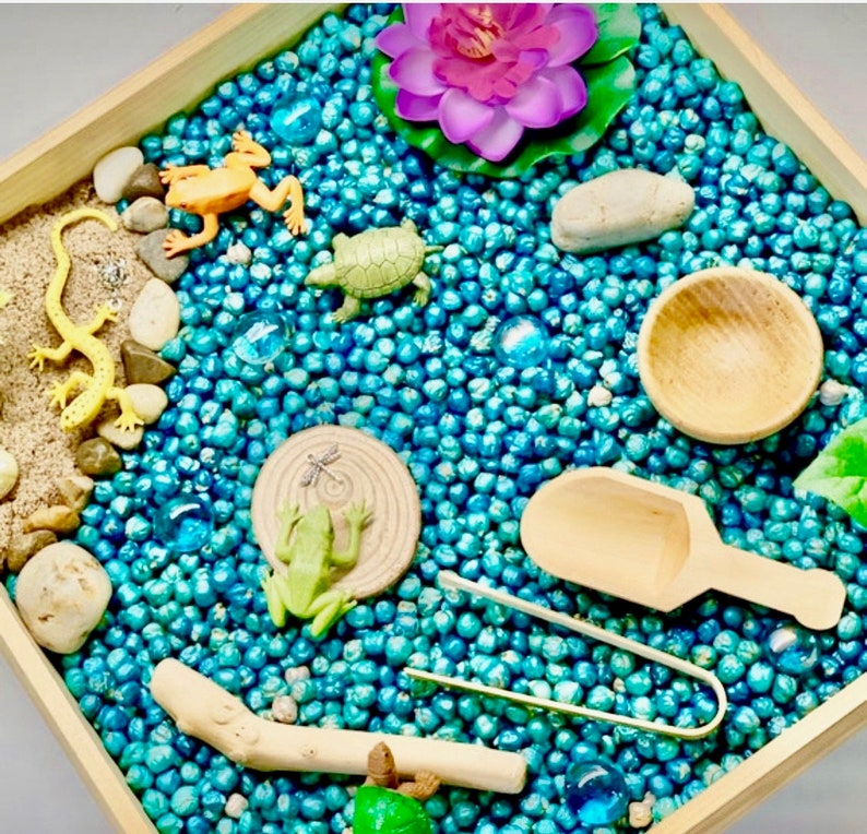 Frog and Turtle Pond Sensory Kit - Etsy